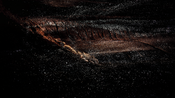 이아린 'ARIN' 시리즈 중 'STONE' 출간