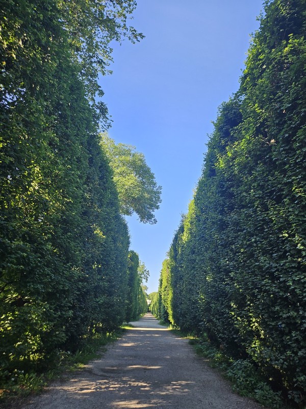 비엔나 도자기의 역사